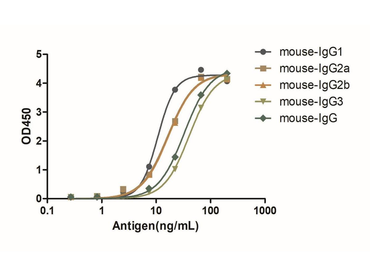 Biotin Conjugated Anti-Mouse IgG kappa, AlpHcAbs® Goat antibody(Biotin ...