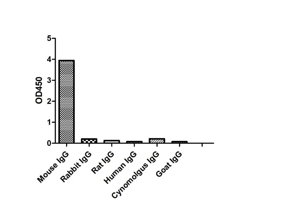 Biotin Conjugated Anti-Mouse IgG1(Fcγ Fragment specific), AlpSdAbs® VH – HUABIO