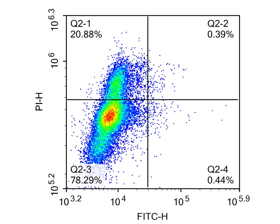 iFluor™ 488 Conjugated BrdU Recombinant Rabbit Monoclonal Antibody [PS ...